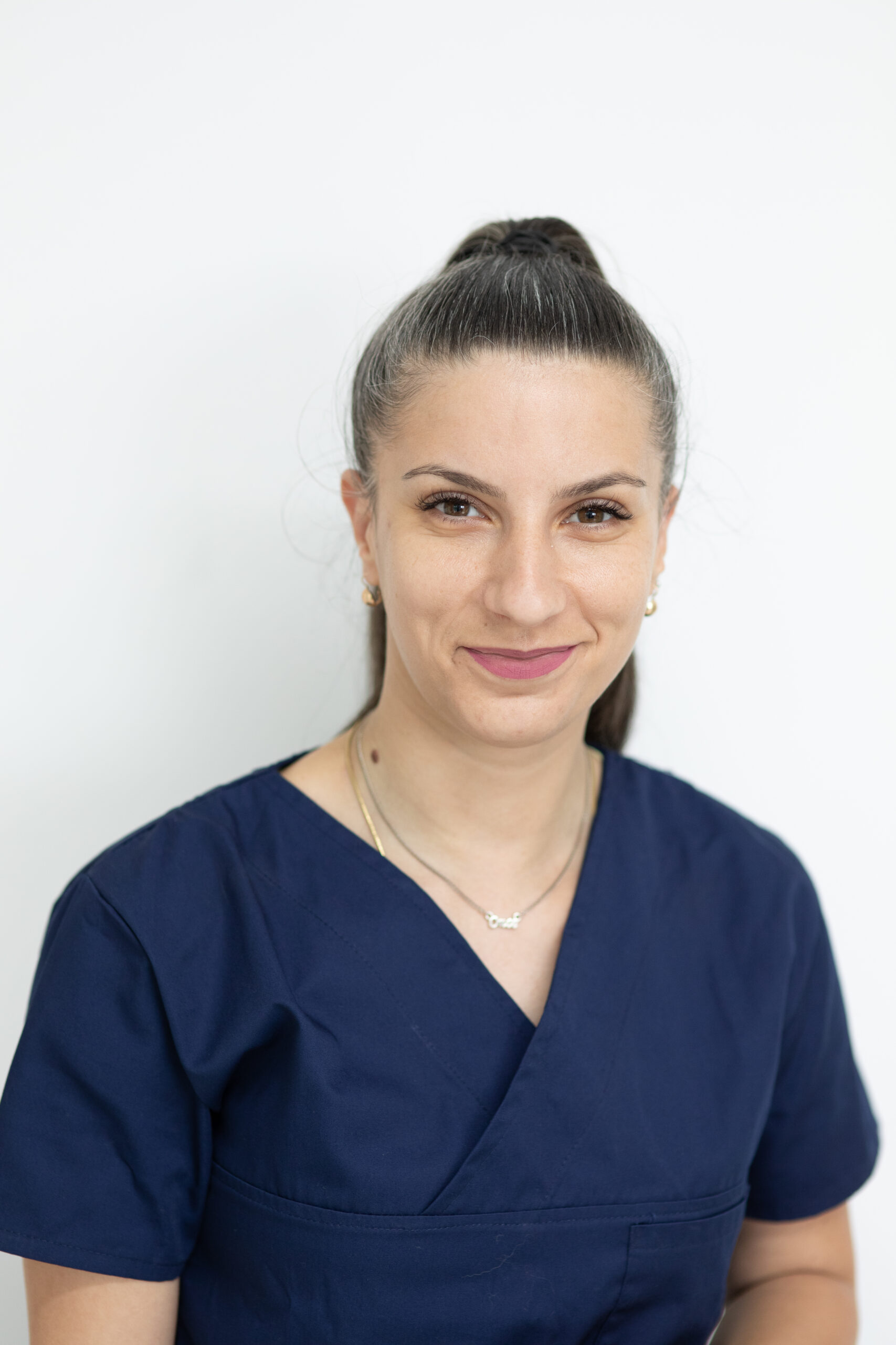 Home - Sirius Animal Vet